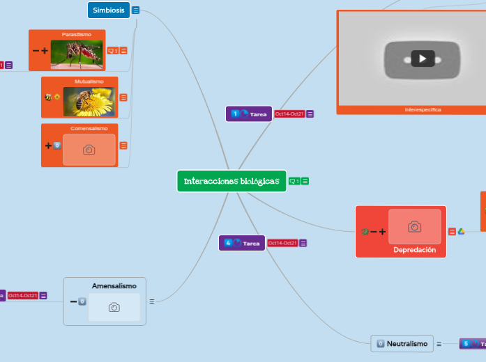 Interacciones biológicas - Mind Map